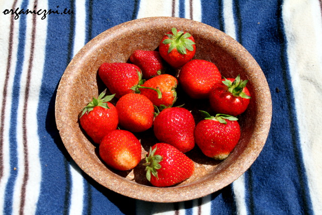 biotrem_1 - organiczni.eu